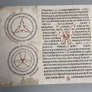 S.H.I.E.L.D File Avengers File Falcon/hulk/black Widow/iron Man/ant-man ...