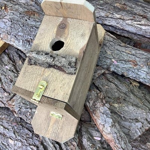 Rustic Cedar Bird House - Etsy