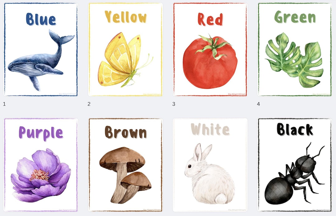 ENGLISH ONLY Digital Download Color Flash Cards Toddler Learning ...