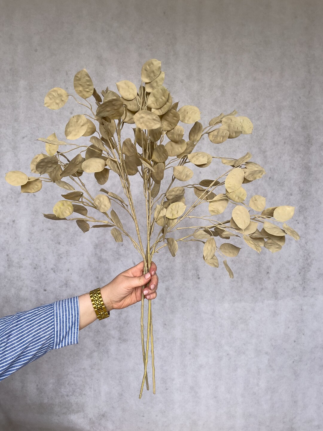 Artificial Faux Silver Dollar Stem - Cream| Wedding Decor| Winter Decor ...