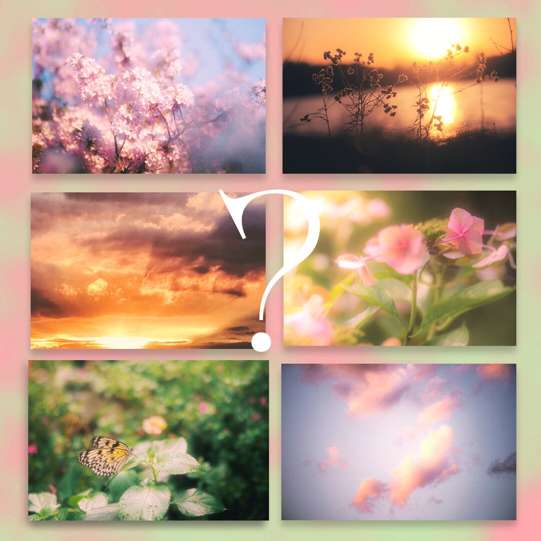 Mystery Photo Print Pack - Etsy