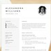 Modern Executive Resume Template for Word Mac Pages & Google - Etsy