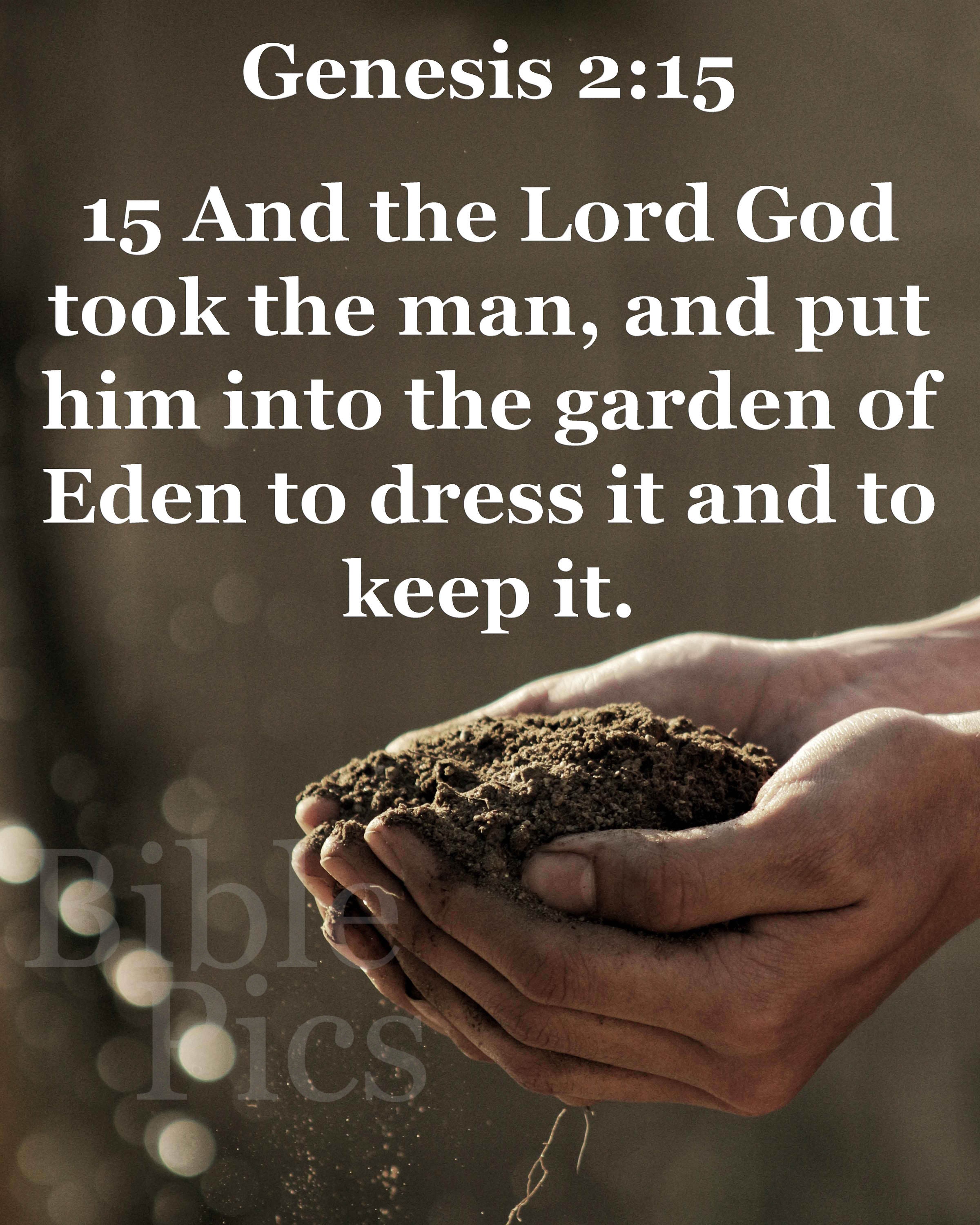 Bible Verse Printable, Genesis 2:15, Scripture Wall Art, Modern ...