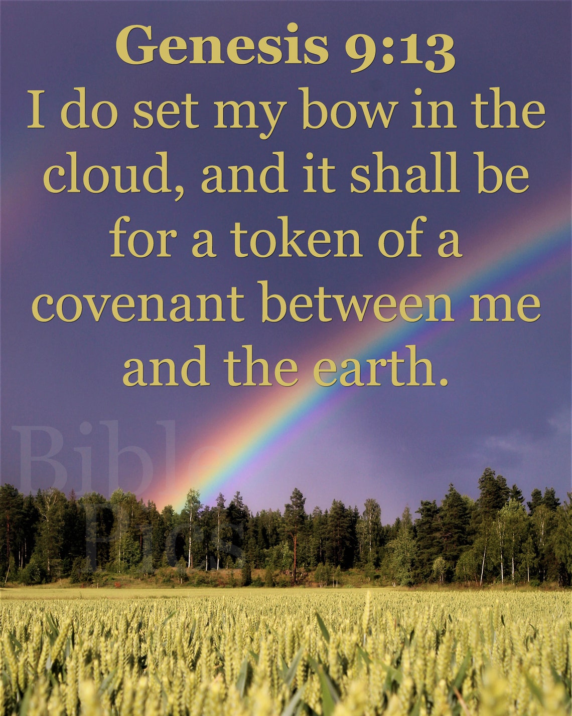 Bible Verse Printable, Genesis 9, Rainbow, Scripture Wall Art, Modern ...