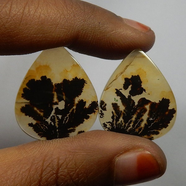 Shajar Stone - Etsy