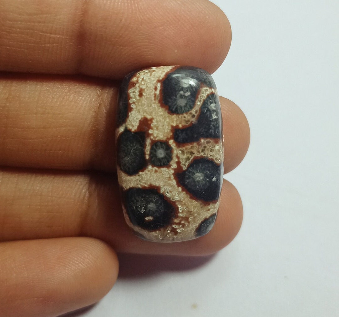 AAA Viper Skin Jasper Natural Viper Skin Jasper Shape Cabochon Loose ...