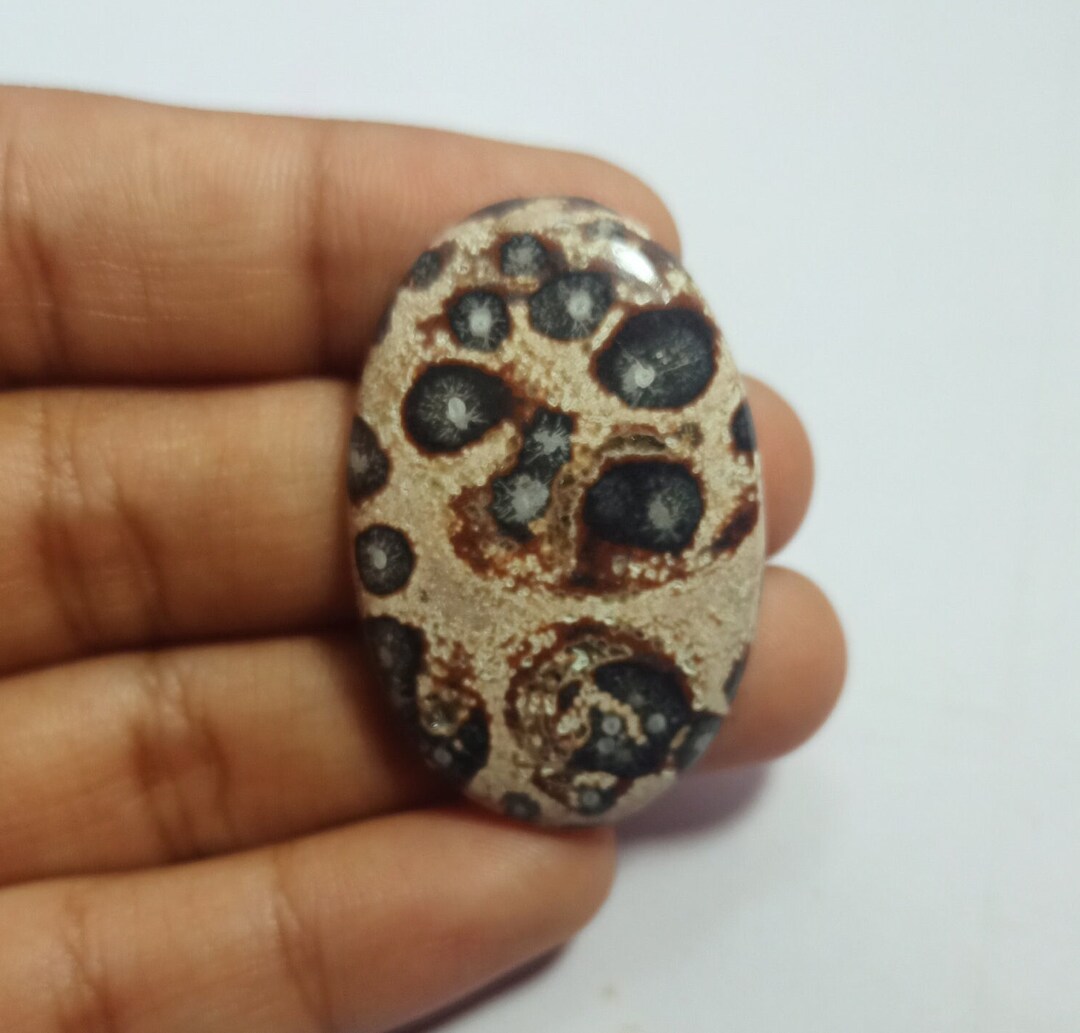 AAA Viper Skin Jasper Natural Viper Skin Jasper Oval Shape Cabochon ...