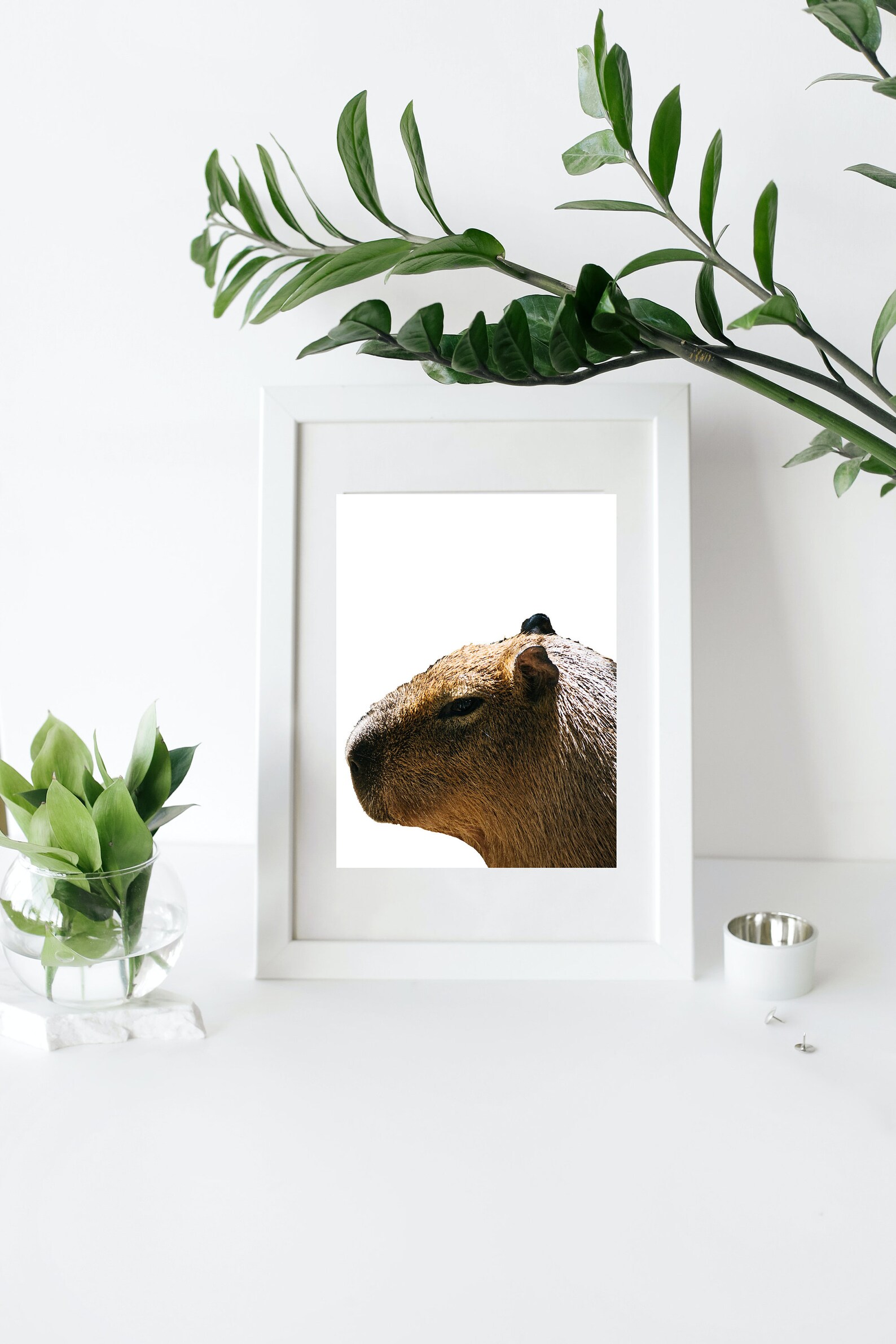 Capybara print capybara decor capybara art capybara print | Etsy