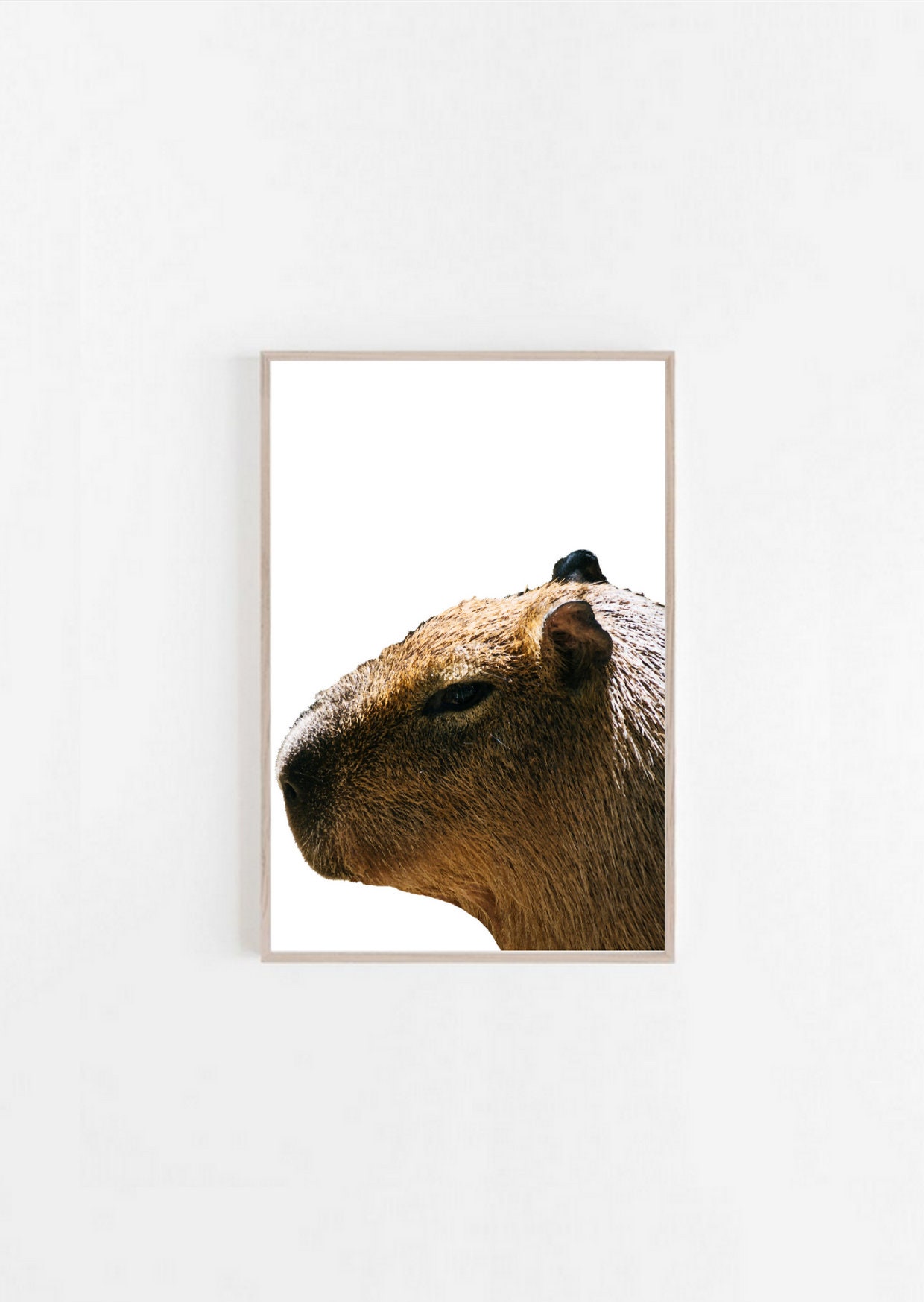 Capybara print capybara decor capybara art capybara print | Etsy