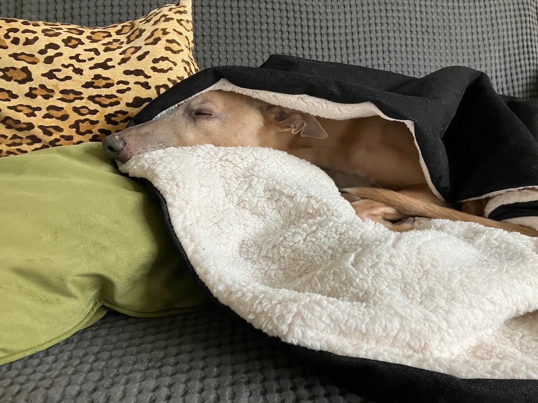 Snuggle Blanket Dog Black Denim Ecru Teddy Lining, Whippet Galgo Vizsla ...
