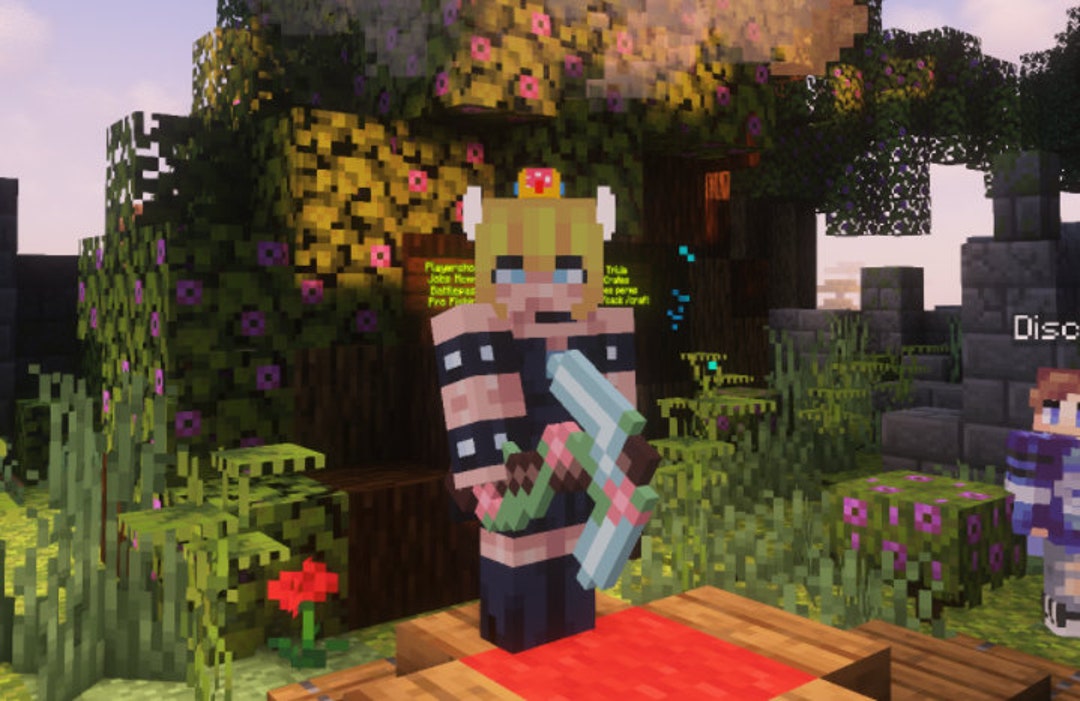 Summer Pickaxe & Sword 3D Model for Minecraft - Etsy