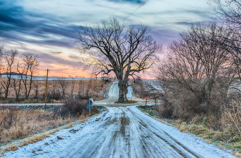 Tree in the Middle of the Road | Farmhouse Wall Décor | Tree in Road ...