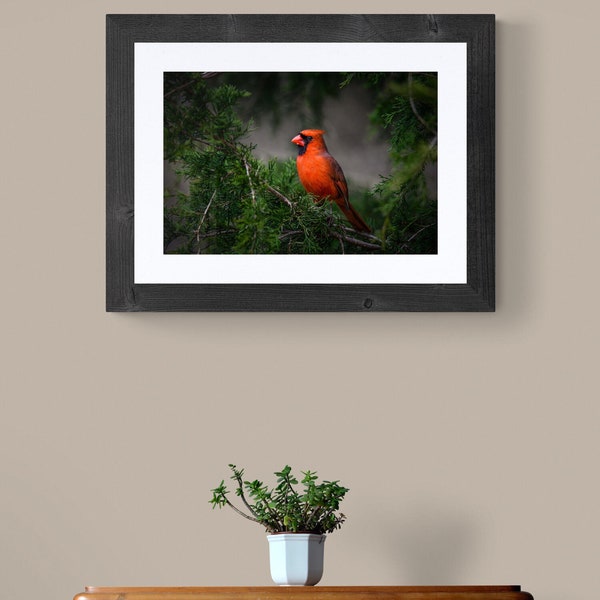 Cardinal Prints - Etsy