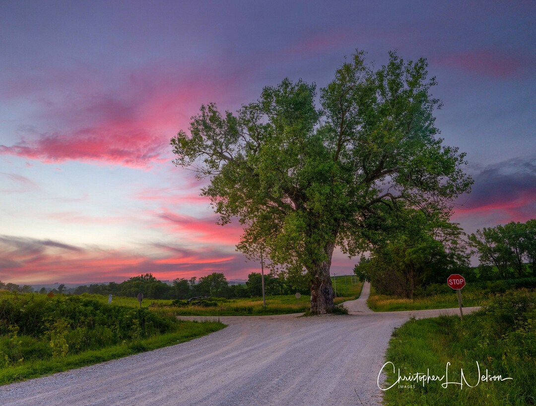 Tree in the Road Print Wall Art Iowa Landscape Interior Design - Etsy
