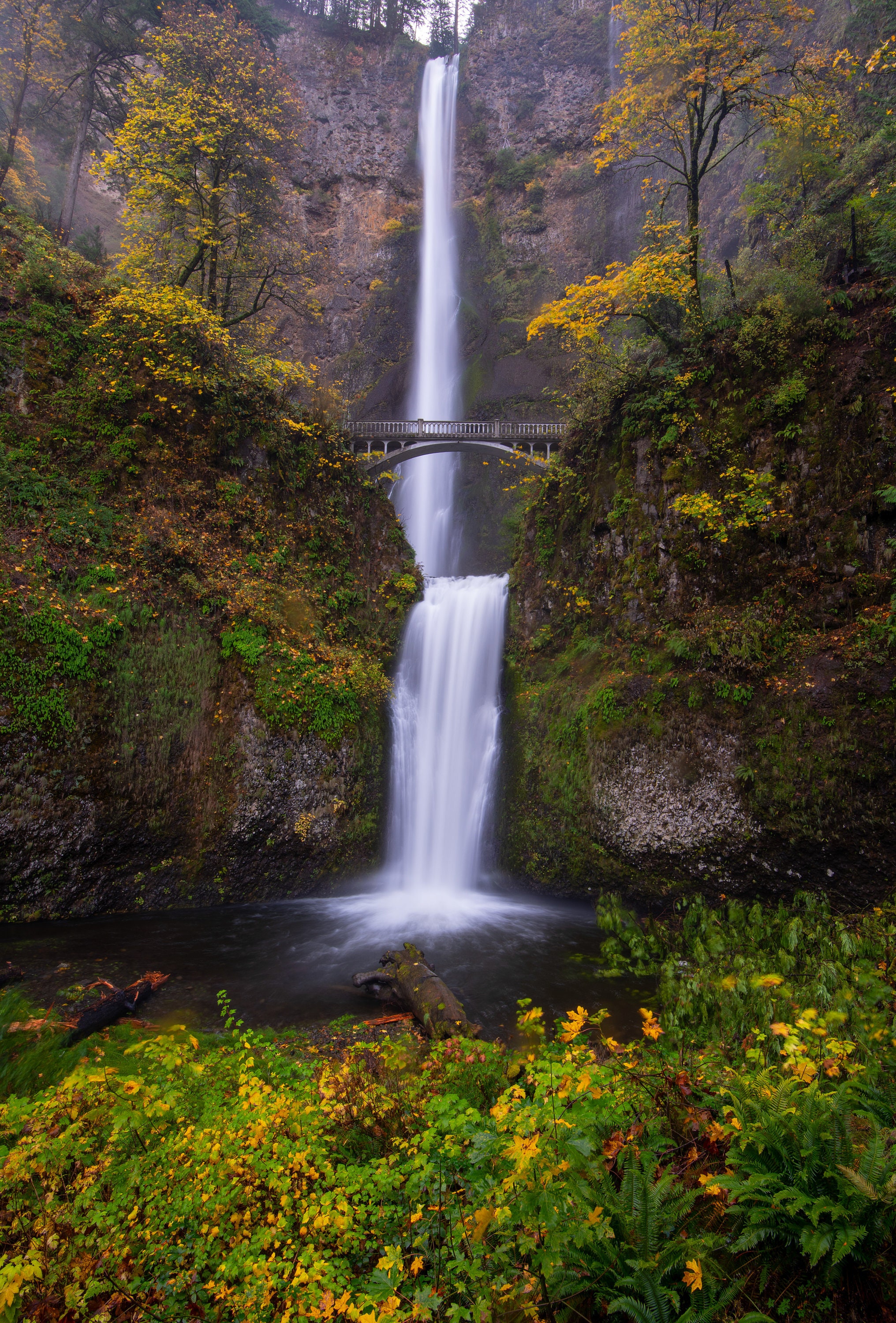 Multnomah Falls Print Waterfall Landscape Autumn Scenic - Etsy