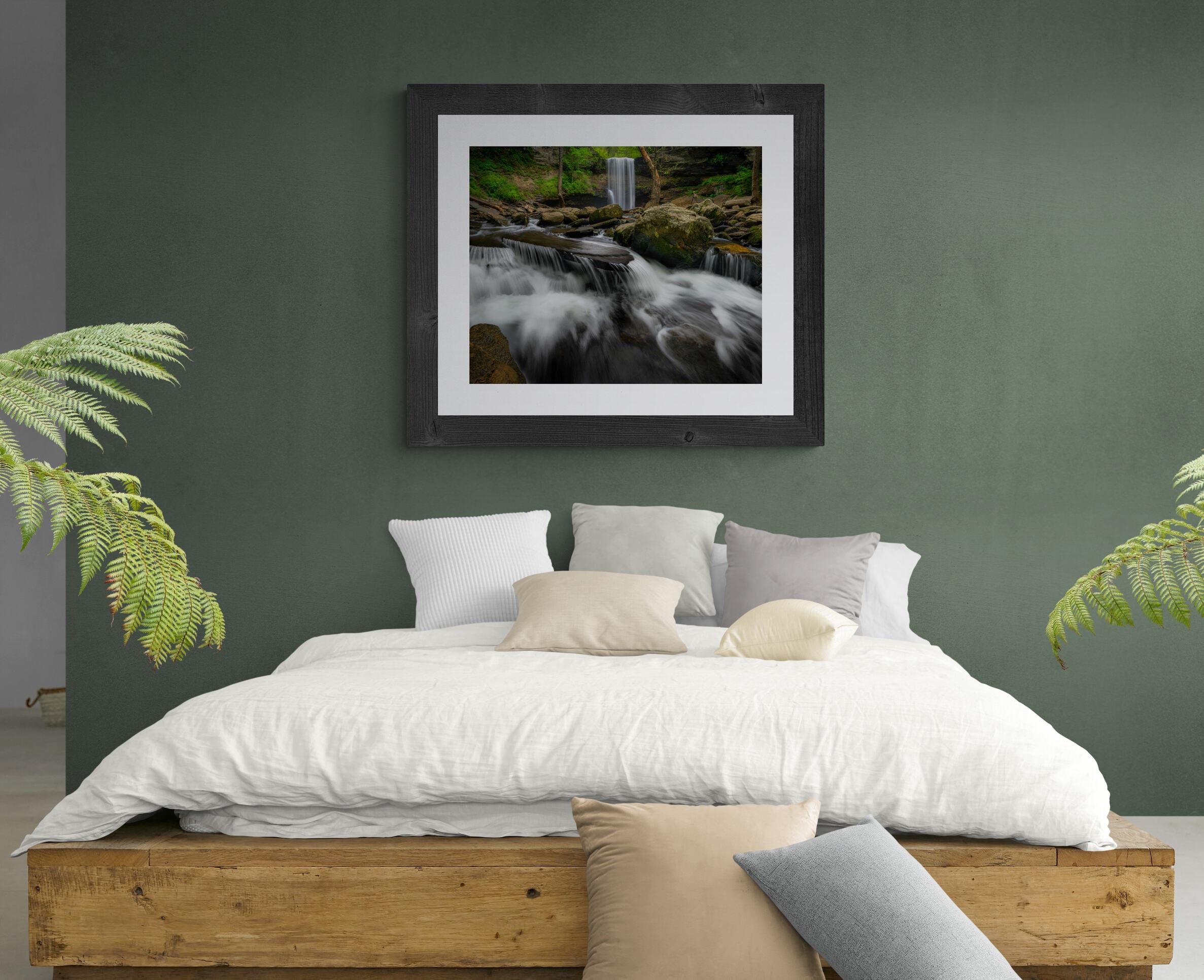 Christopher L. Nelson Images-Home