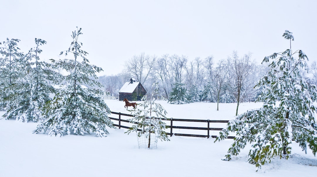 Country Winter Scene Print Rustic Old Barn Winter Landscape Print ...