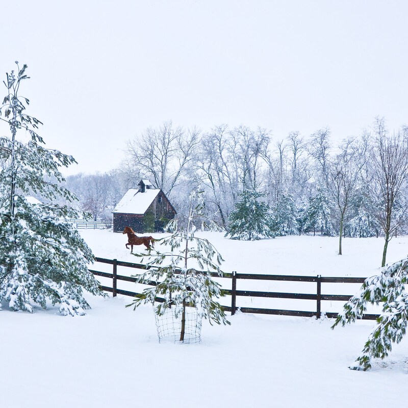 Winter Scene - Etsy