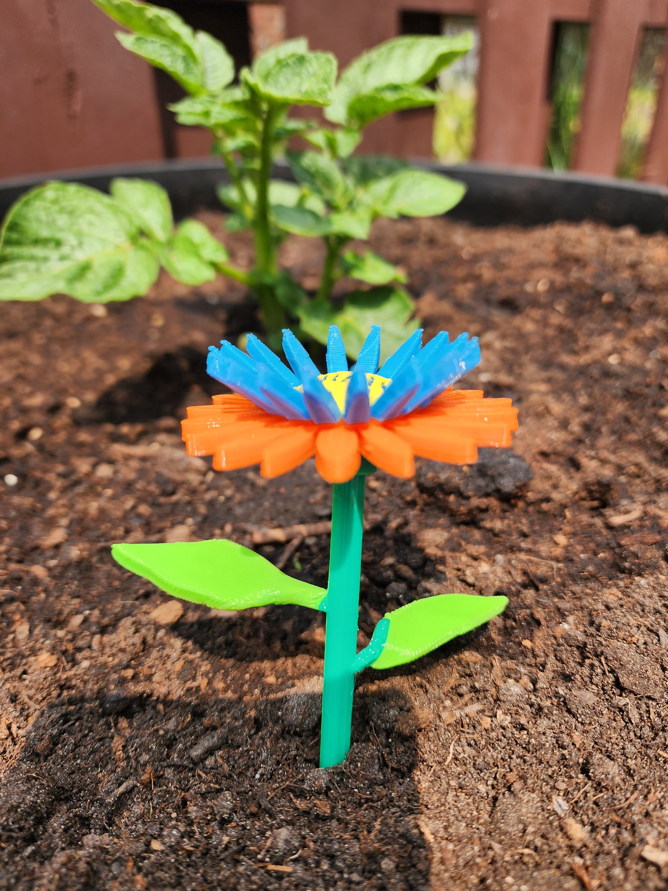 Personalized Garden Markers | up Facing | Custom Plant Names | Herb ...