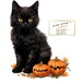Black Kitten and Pumpkin Watercolor Clipart, Halloween Clipart, Pumpkin ...