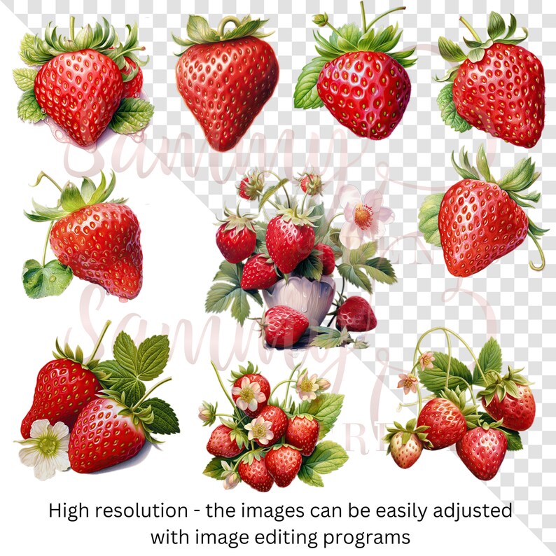 Strawberries Clipart, Strawberry Png, Strawberries Watercolor Clipart ...