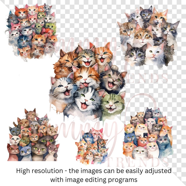 Cats Selfie Clipart, Cats Png, Cat Png, Funny Cats, Cat Art, Cats ...