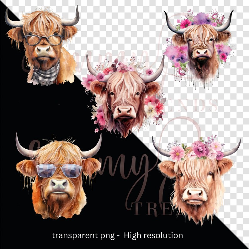 Highland Cow Watercolor Clipart Baby Cow Cow Clip Art - Etsy