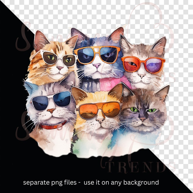 Cats Selfie Clipart, Cats Png, Cat Png, Funny Cats, Cat Art, Cats ...