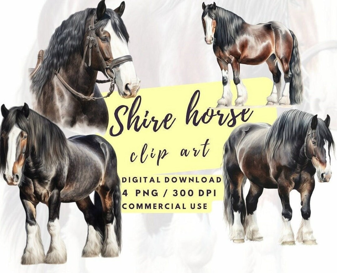 Shire Horse Clipart, Horse Clip Art, Horses, Horse, Transparent Png ...