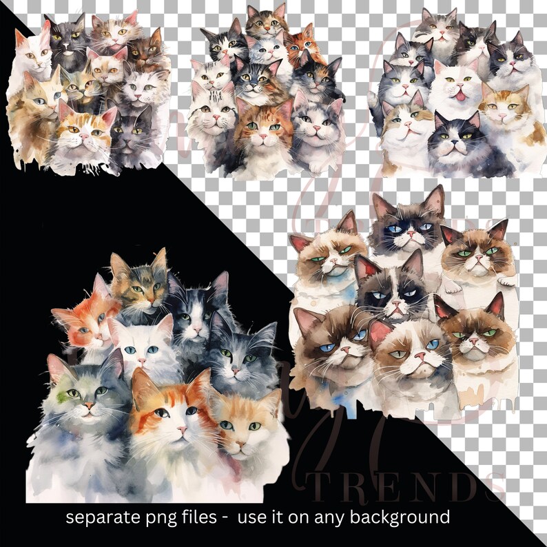 Cats Selfie Clipart, Cats Png, Cat Png, Funny Cats, Cat Art, Cats ...