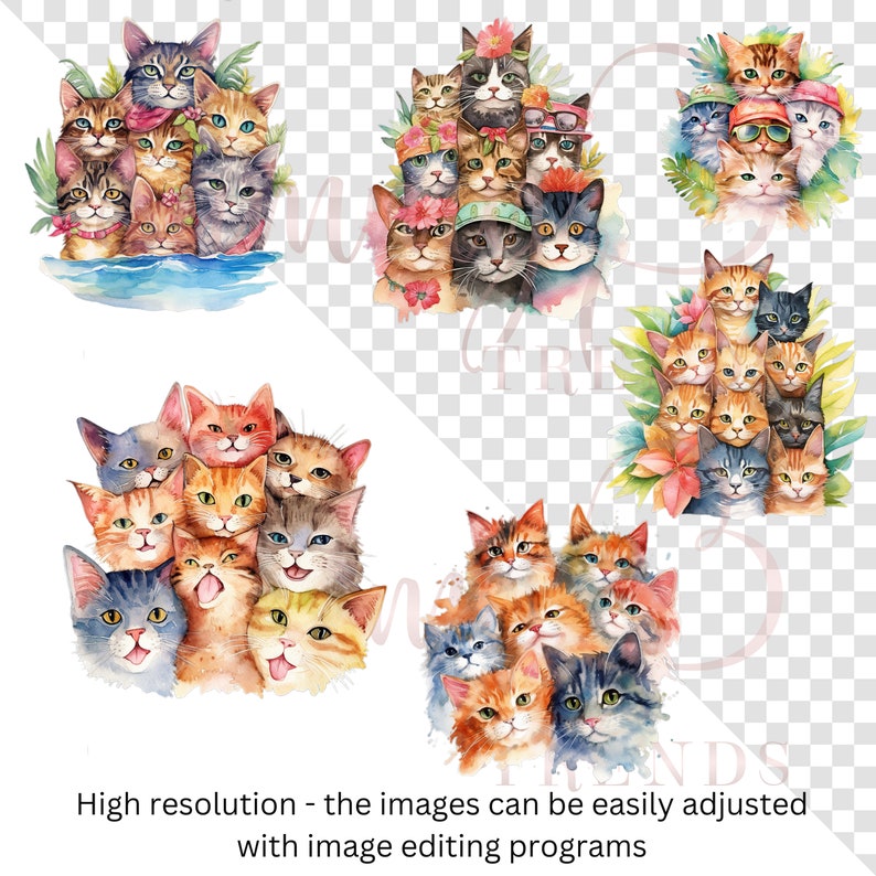Cats Selfie Clipart, Cats Png, Cat Png, Funny Cats, Cat Art, Cats ...