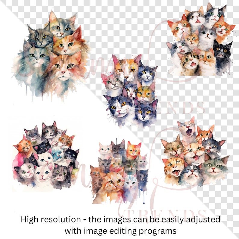 Cats Selfie Clipart, Cats Png, Cat Png, Funny Cats, Cat Art, Cats ...