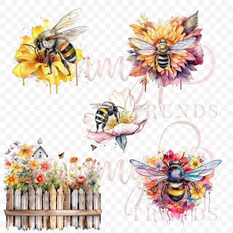 Honey Bee Clipart, Png, Clip Art, Transparent Png, Watercolor ...