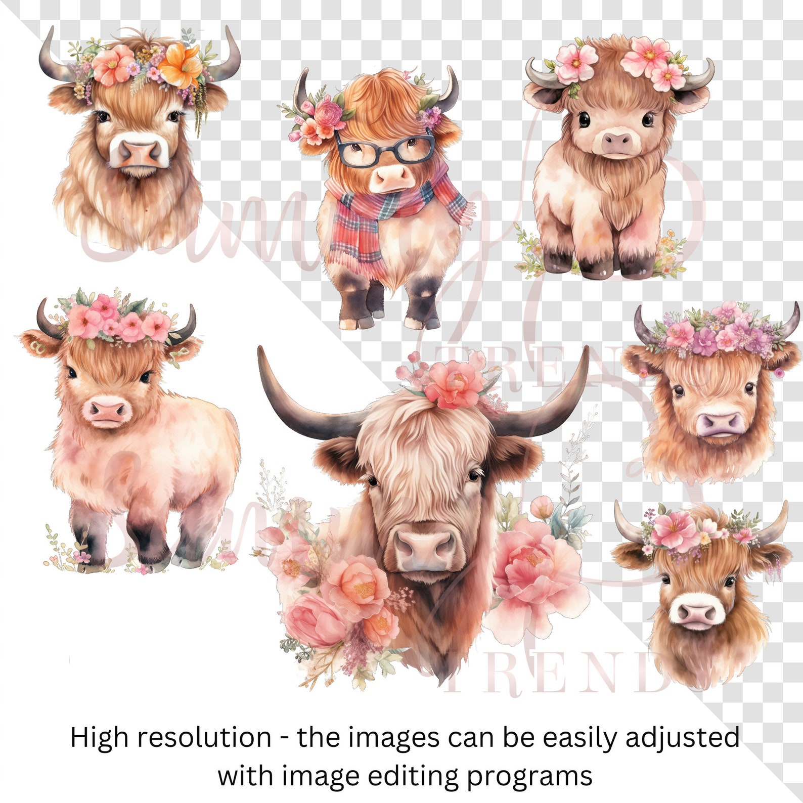 Highland Cow Watercolor Clipart, Baby Cow, Cow Clip Art Bundle, Cow Png ...