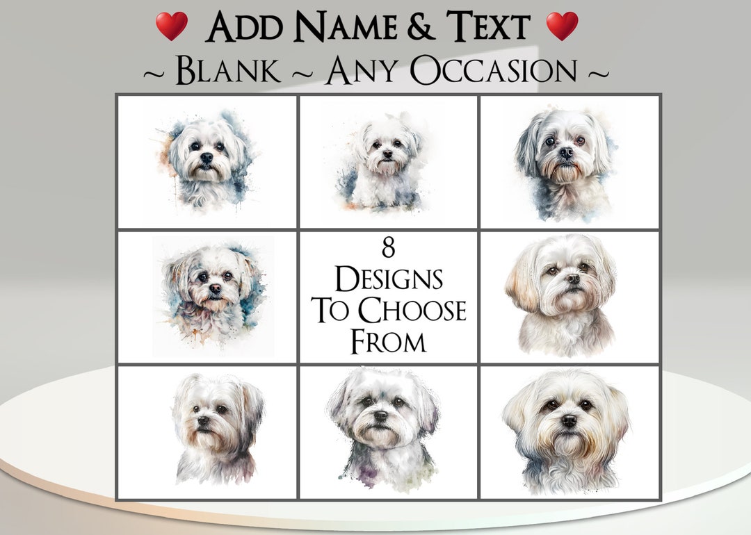 Maltese Card: Add Your Text + Name ~ Inside Message ~ Any Occasion ...