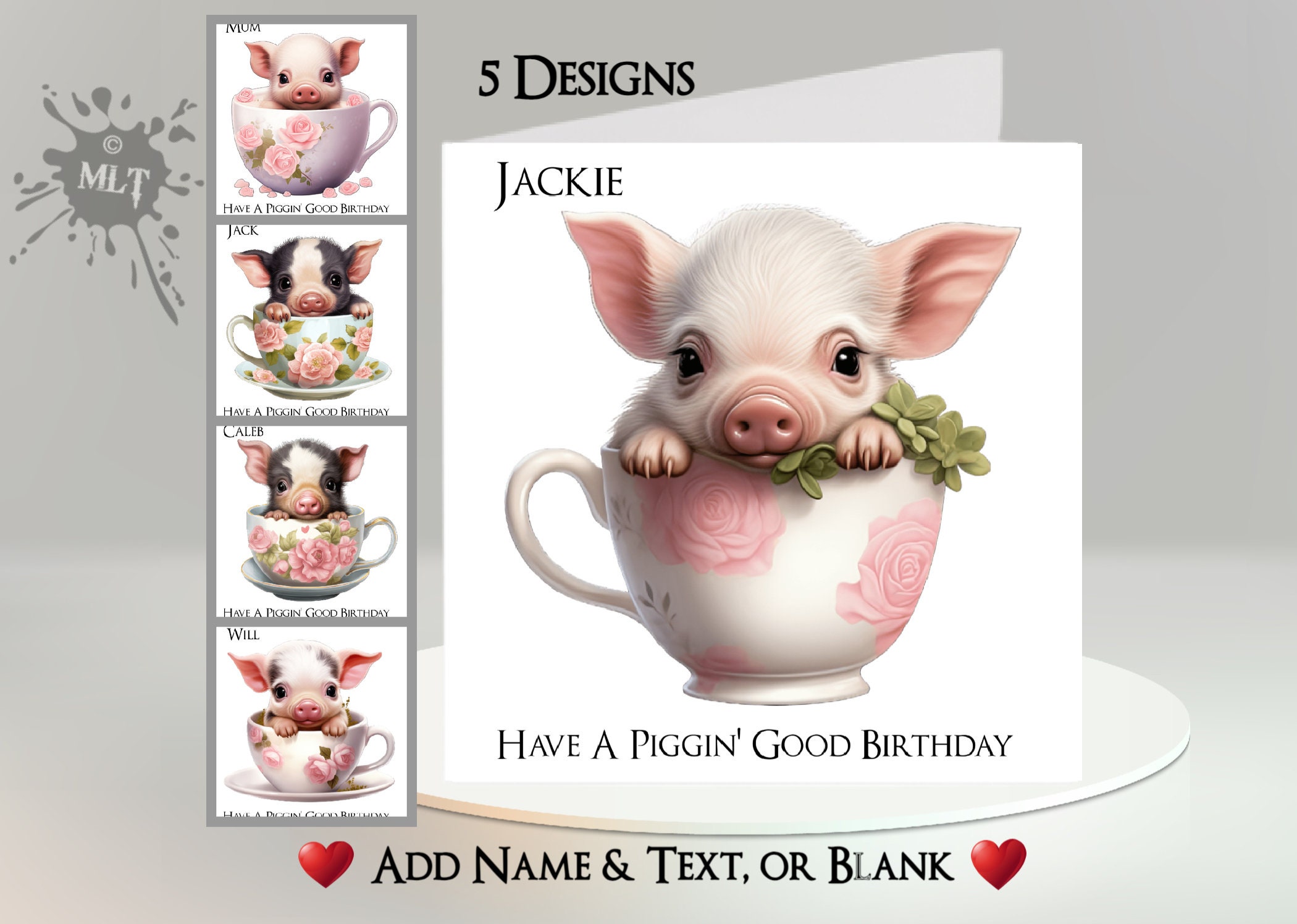 Cute Teacup Pig Birthday