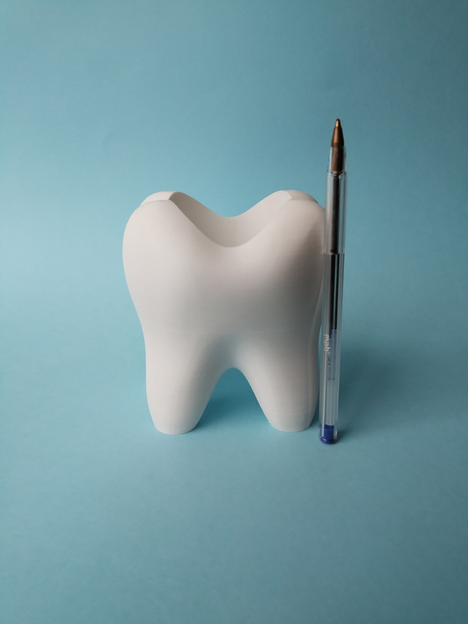 Giant Tooth/ Vase Plant / to Hold Toothbrush and Toothpaste / - Etsy