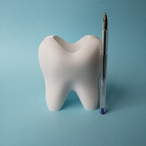 Giant Tooth/ Vase Plant / to Hold Toothbrush and Toothpaste / Pen and ...