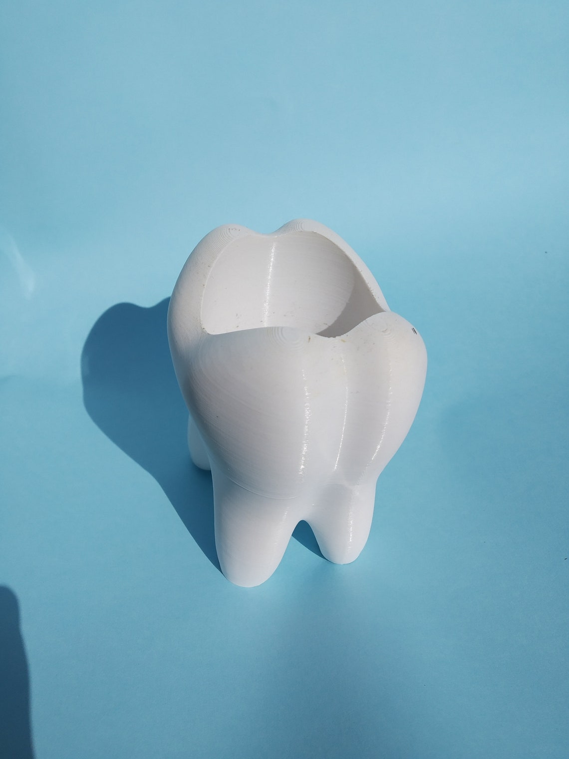 Giant Tooth/ Vase Plant / to Hold Toothbrush and Toothpaste / - Etsy