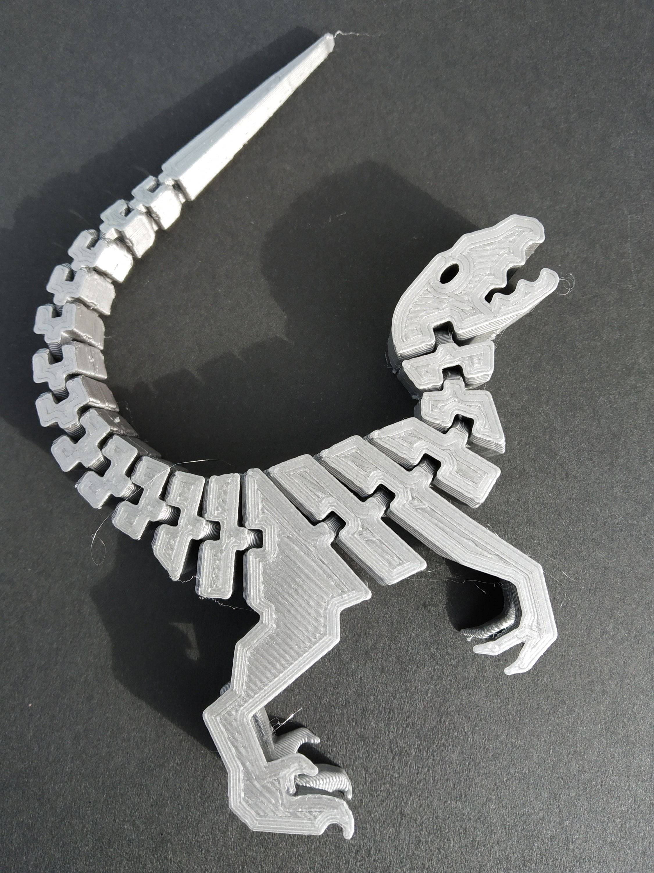 Flexi Raptor/ Dinossaur/ 3D Printed/ Fidget Toy - Etsy Israel