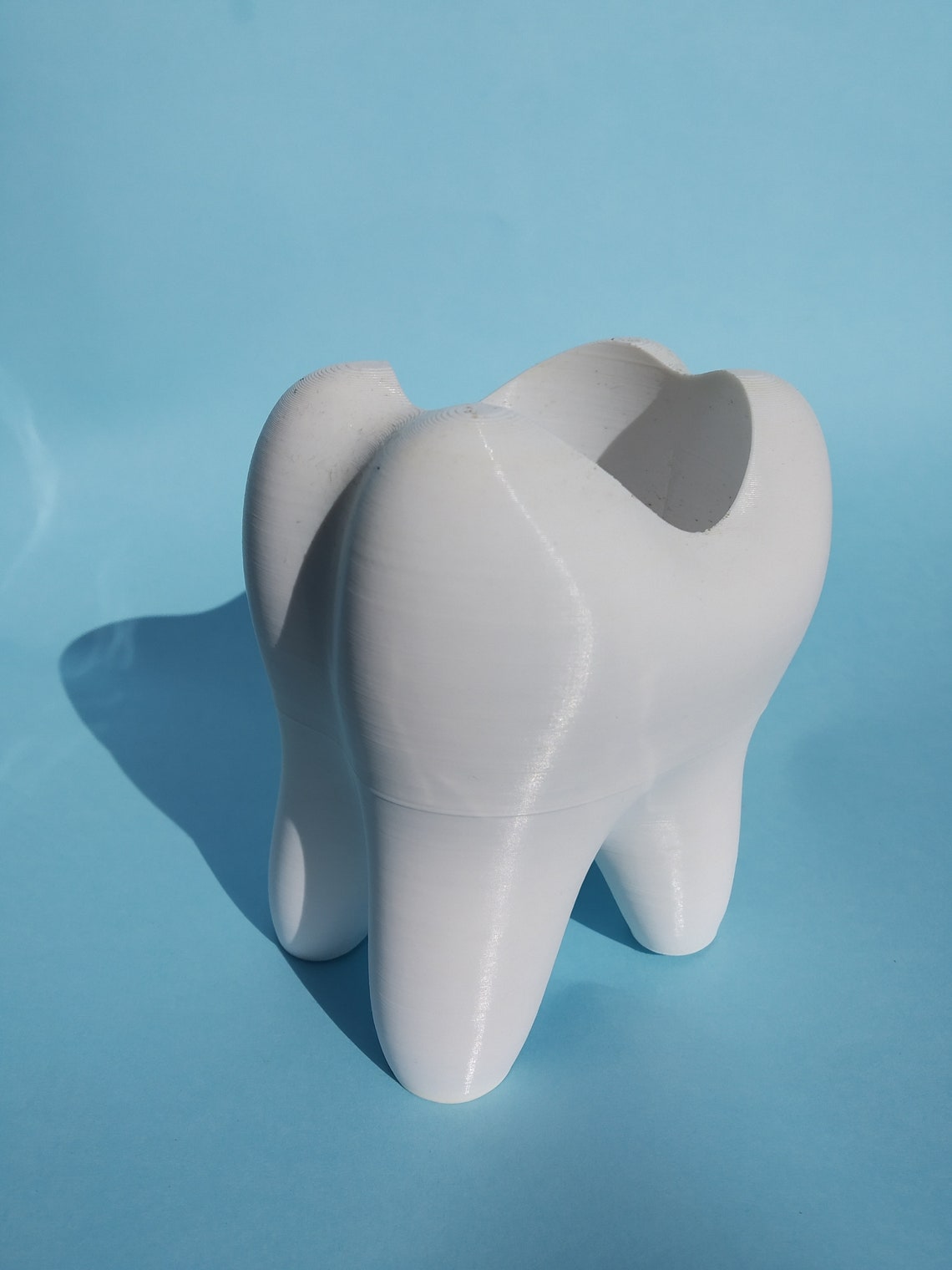 Giant Tooth/ Vase Plant / to Hold Toothbrush and Toothpaste / - Etsy