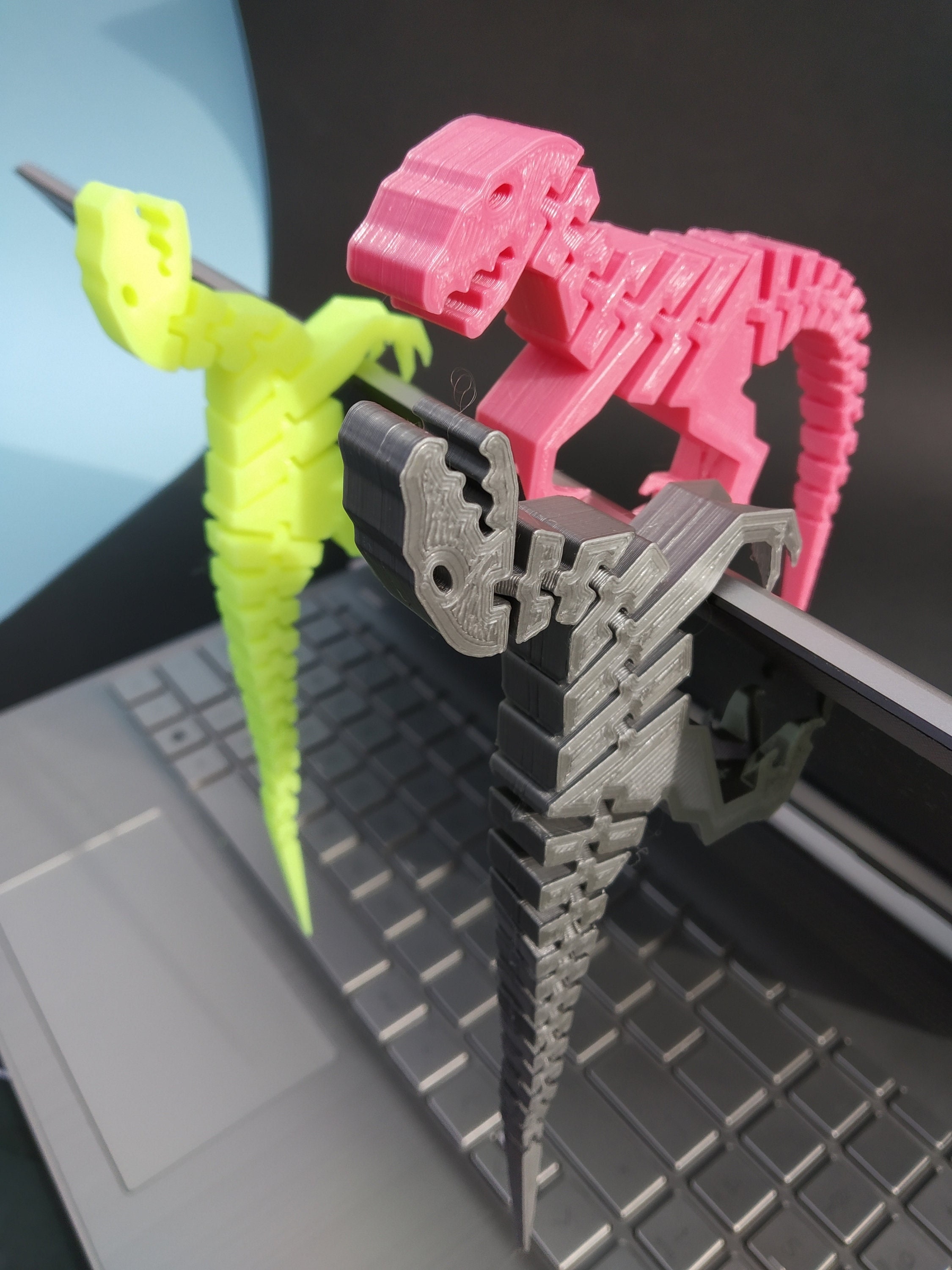 Flexi Raptor/ Dinossaur/ 3D Printed/ Fidget Toy - Etsy Israel