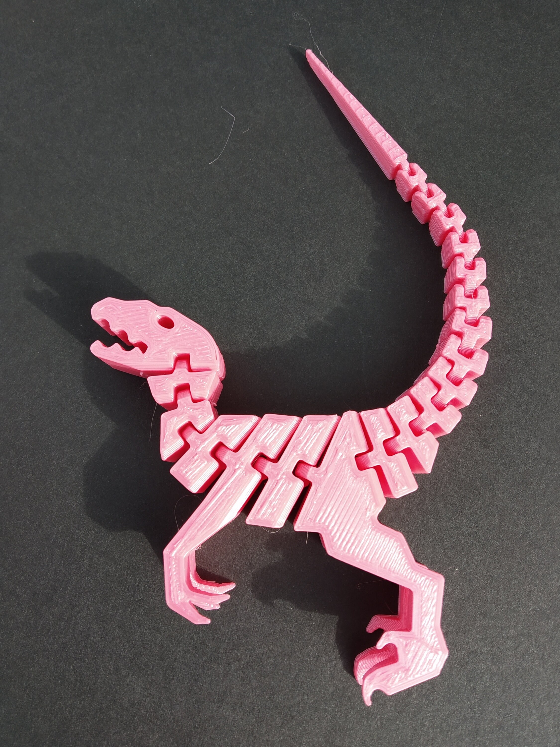 Flexi Raptor/ Dinossaur/ 3D Printed/ Fidget Toy - Etsy Israel