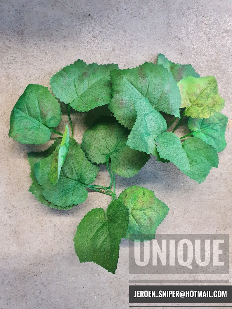 Unique Leaves - Etsy Australia