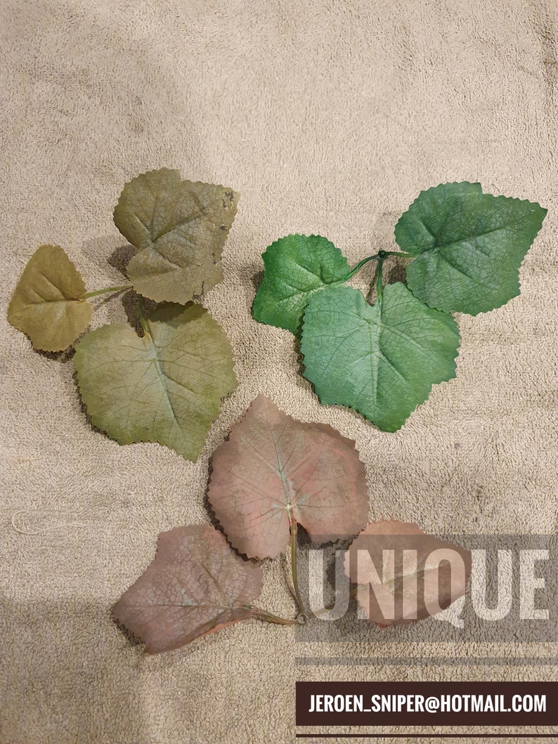 Unique Leaves - Etsy Australia