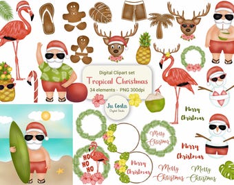 Tropical Christmas Clipart: Santa, Flamingo, PNG Elements (digital ...