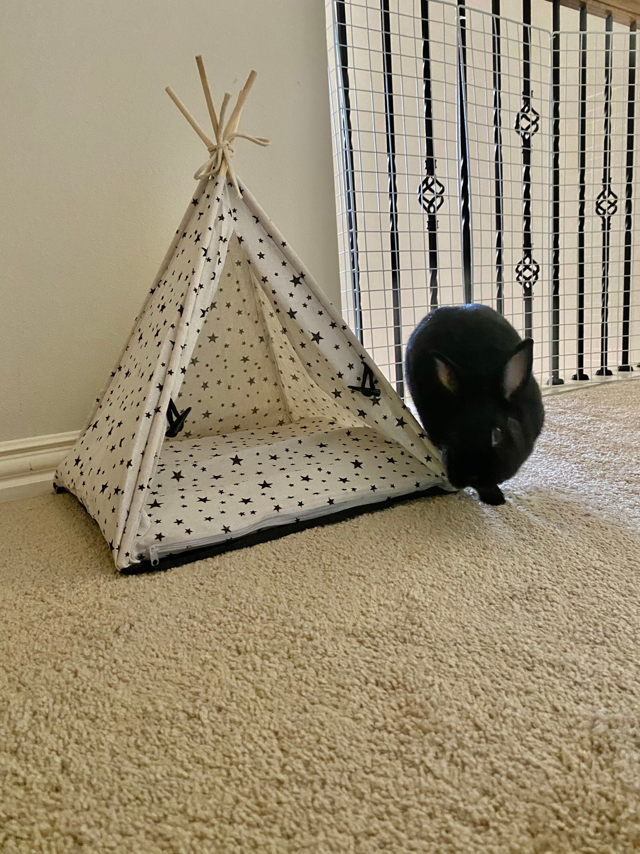 Bed for Rabbit Pet Tent Hidey House Teepee for Guinea Pigs or | Etsy