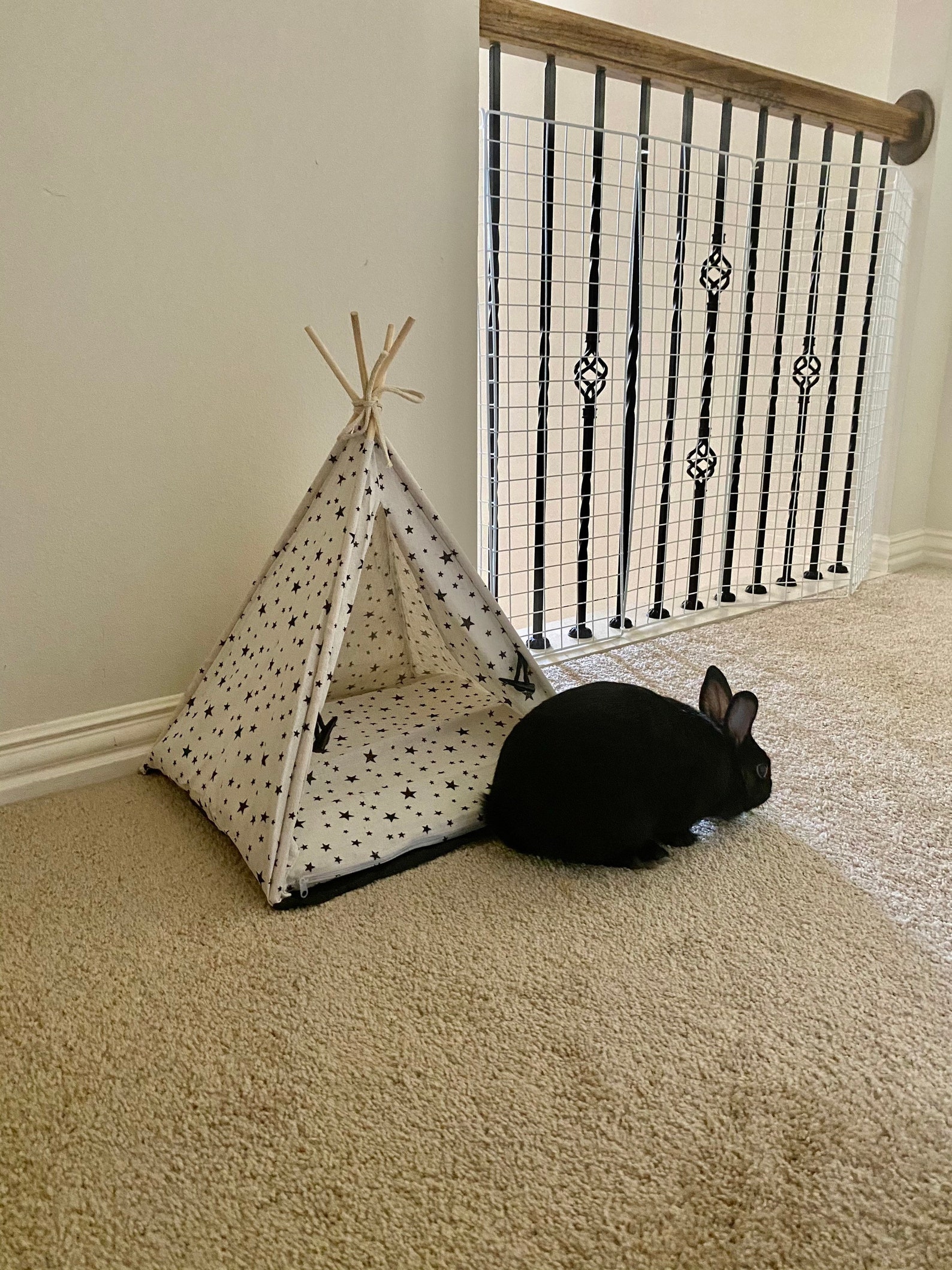 Bed for Rabbit Pet Tent Hidey House Teepee for Guinea Pigs or | Etsy