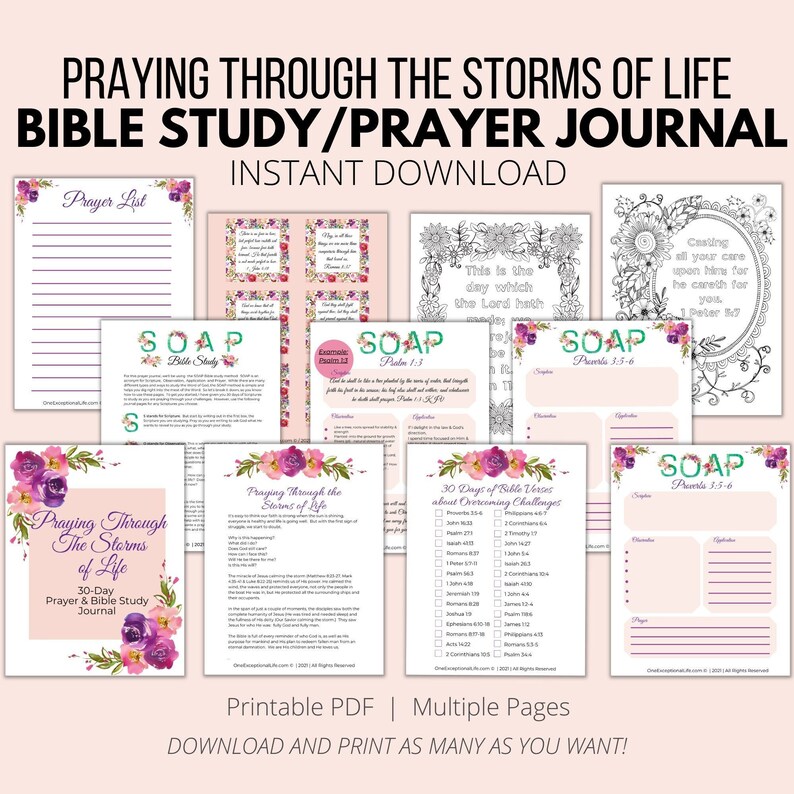 Bible Study Printable Prayer Journal Scripture Study - Etsy UK