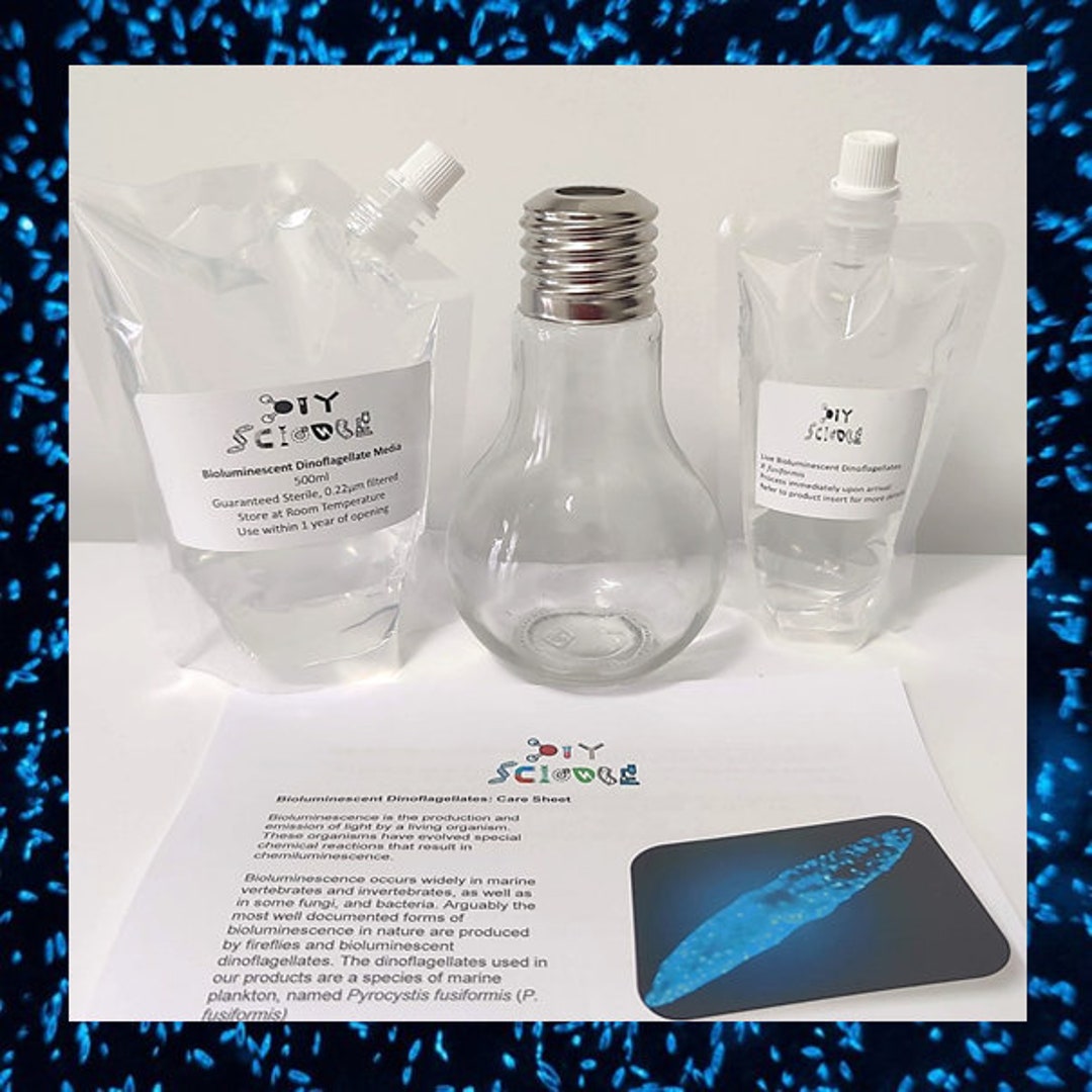 Bio-bulb Kit : Grow Your Own Bioluminescent Dinoflagellate Kit (dino ...